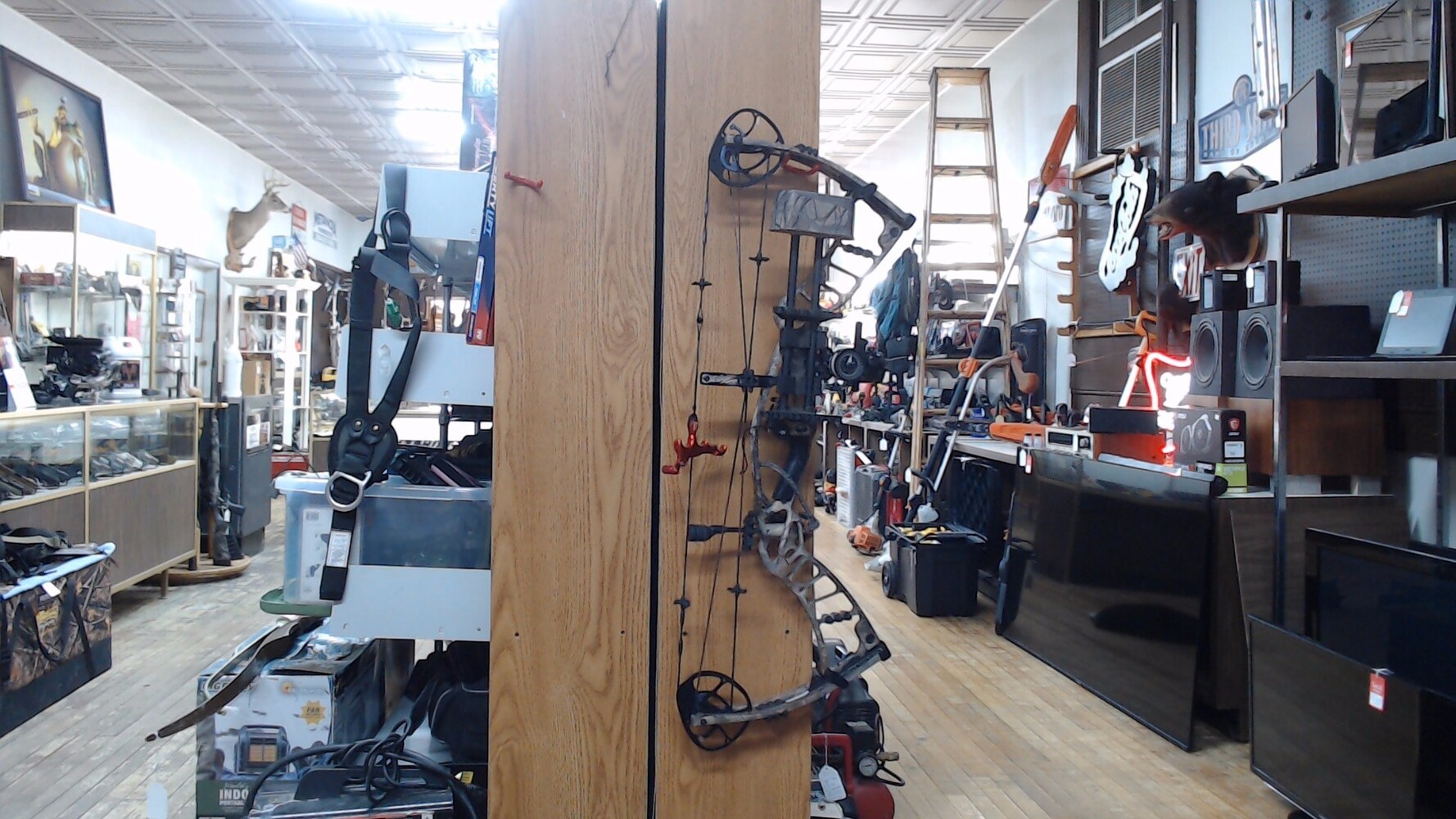 Hoyt Nitro Turbo Compound Bow | Phillips & Sons Pawnbrokers